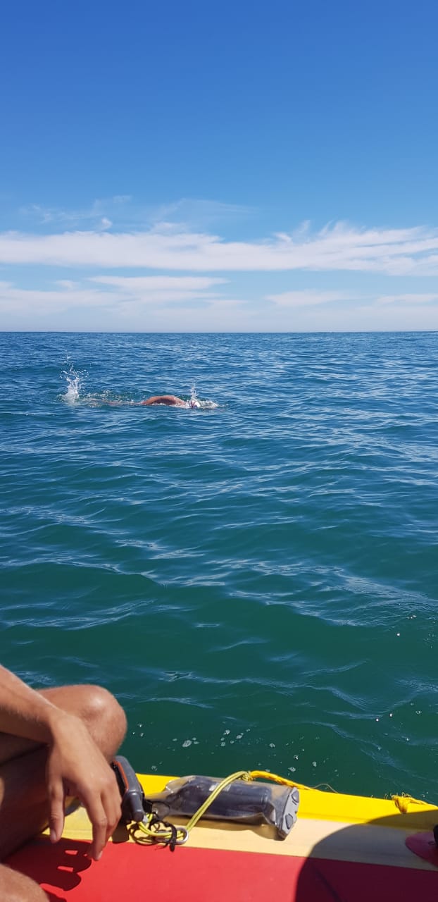 Freedom Swim: Revisited – FreedomSwim